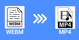 【フリーソフト/オンラインサイト】WebMをMP4に変換する方法 - Leawo製品に関する使い方＆ガイド